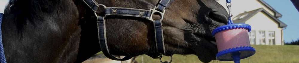 Horse Treats | Stable Licks | Likit | Haribo Horses & Equiport Equestrian
