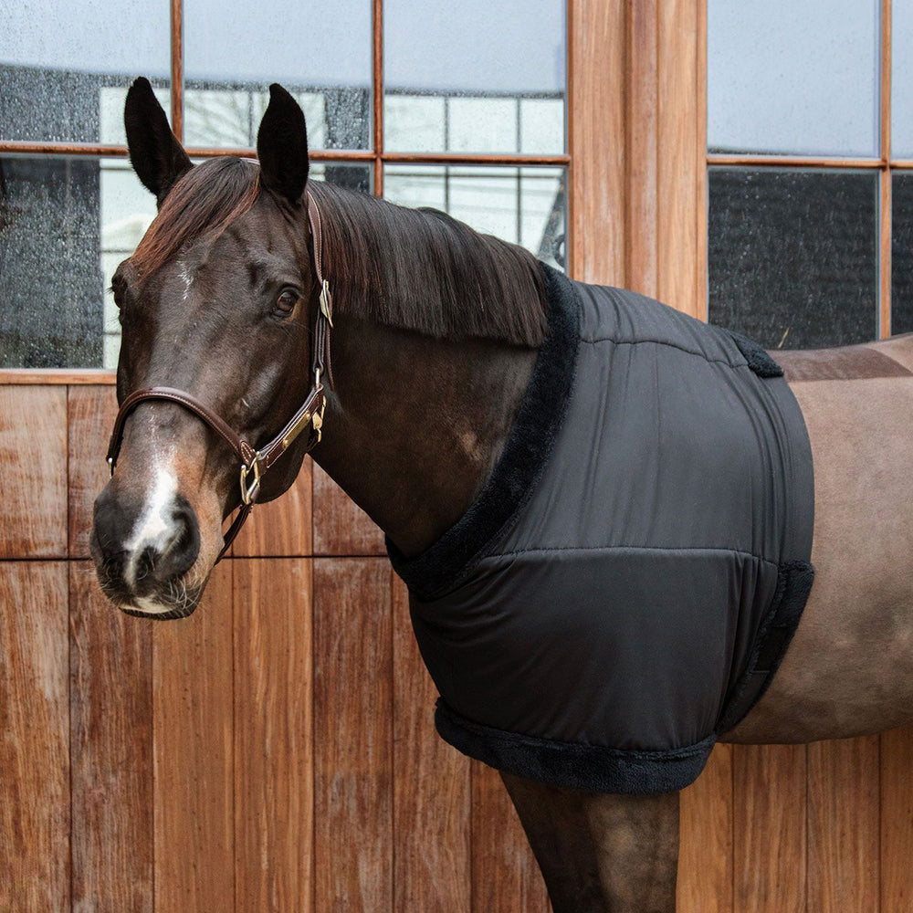 Kentucky Horsewear Chest and Wither Protection Bib - Black & Equiport ...