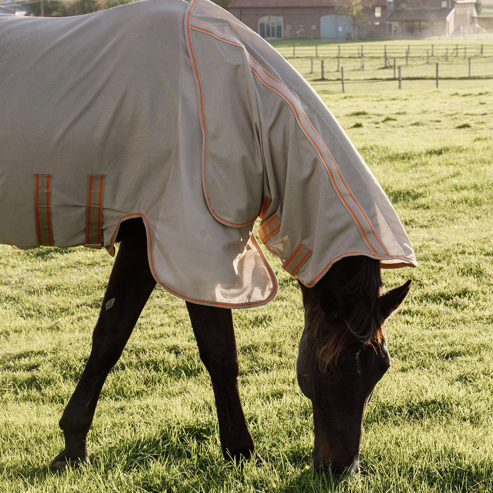 Kentucky Horsewear Mesh Fly Rug Comfort | Beige & Orange & Equiport ...