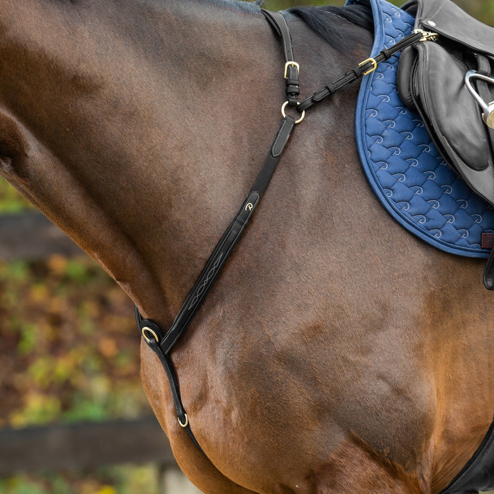 Dy'on D Collection Bridge Breastplate - Black & Equiport Equestrian