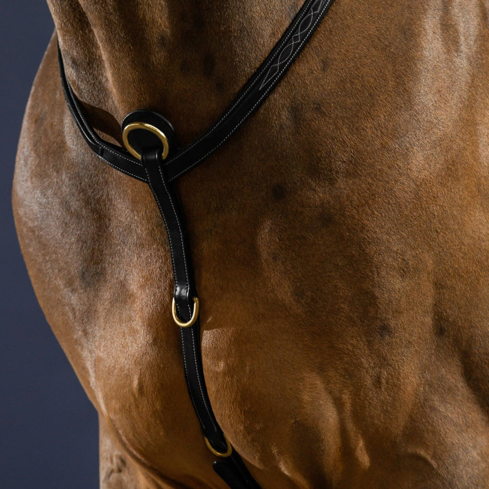 Dy'on D Collection Bridge Breastplate - Black & Equiport Equestrian