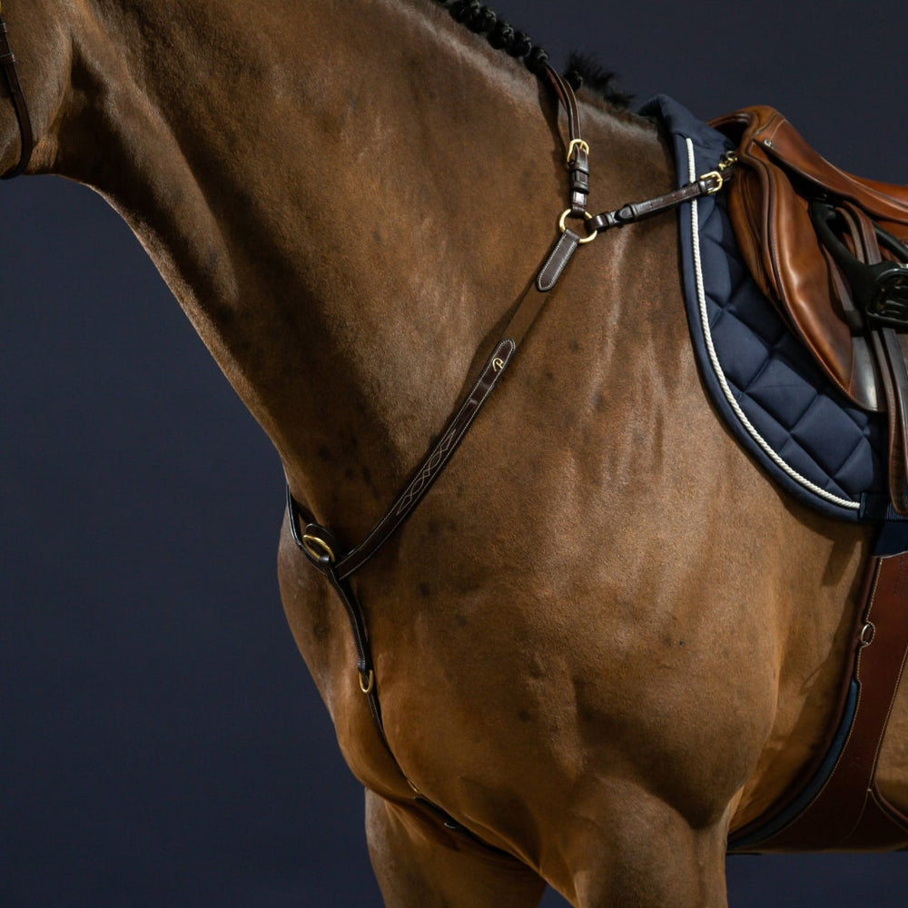 Dy'on D Collection Bridge Breastplate - Brown & Equiport Equestrian
