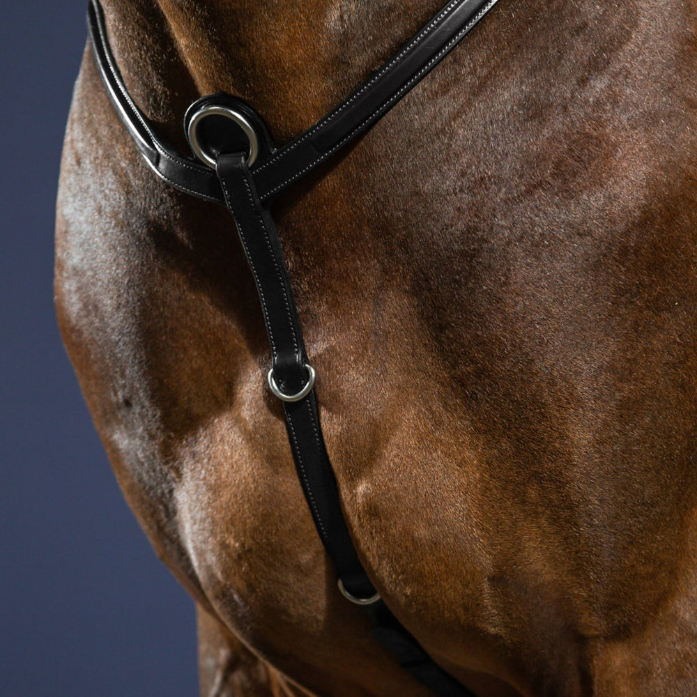 Dy'on New English Breastplate - Black & Equiport Equestrian